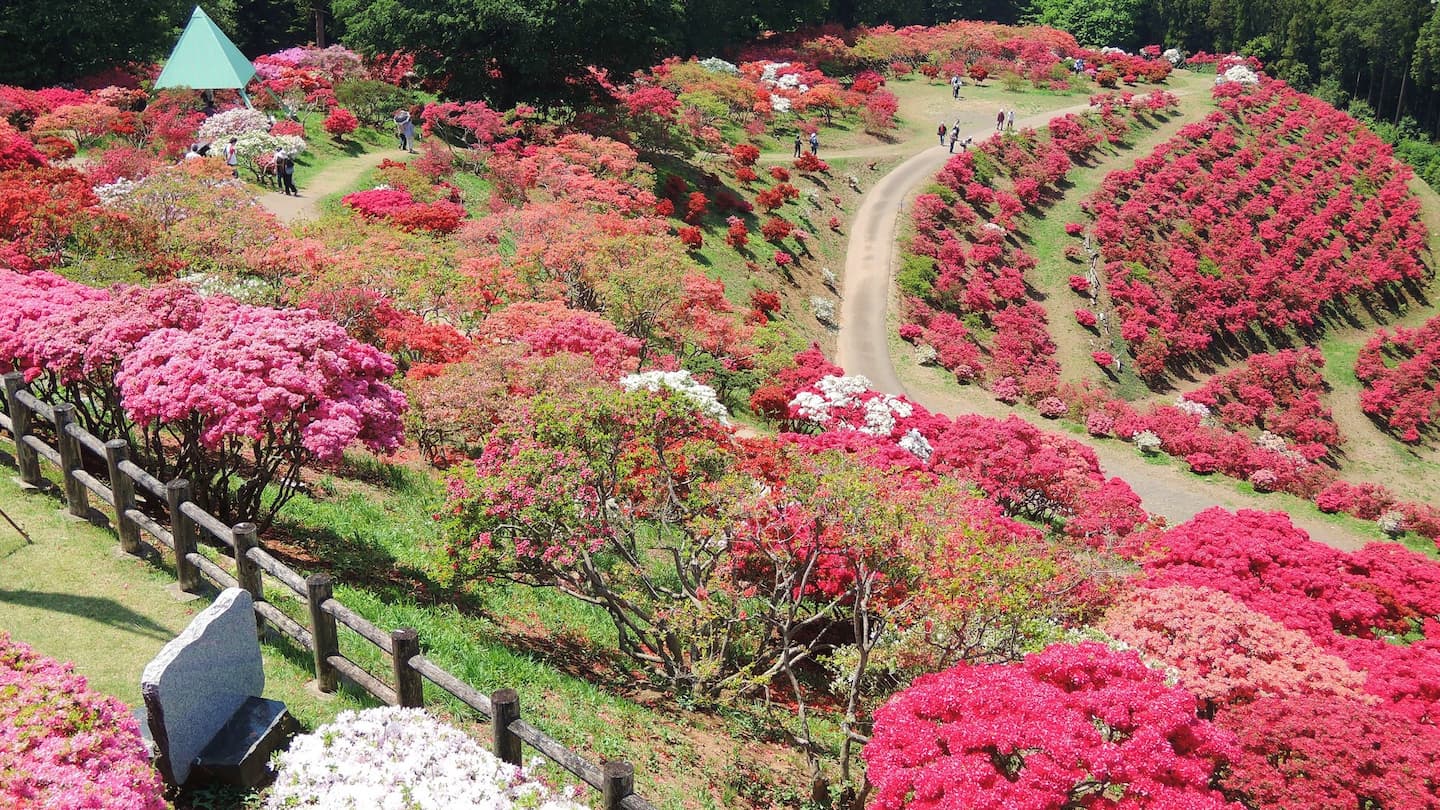 笠間観光で外せないおすすめスポット14選！モデルコースも紹介 | NEWT（ニュート）